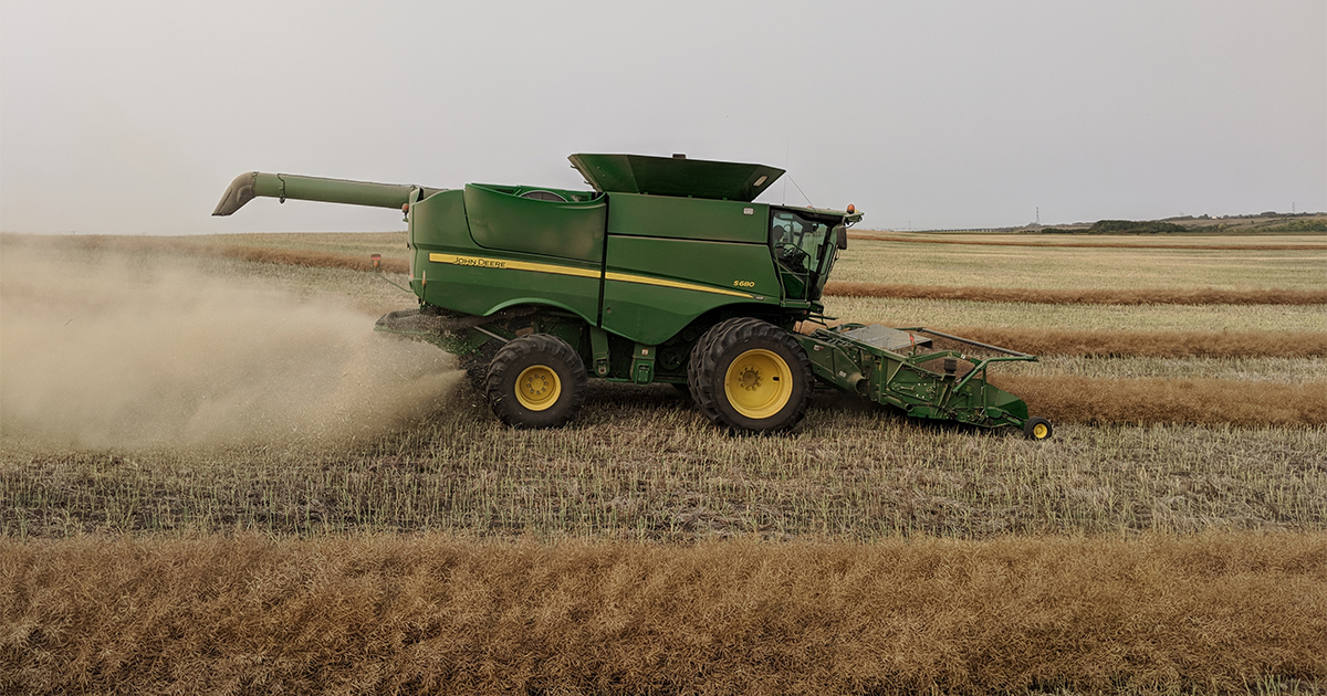 Crop competition — give your crops the edge - WeedSmart