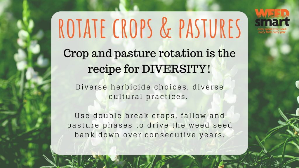 Big 6 winter – 1. Rotate crops and pastures - WeedSmart