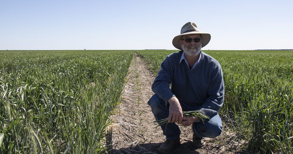 Beefwood Farms, Moree NSW - WeedSmart