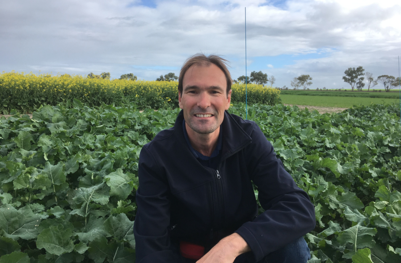 Epic focus paddock results & using S-Metolachlor effectively - WeedSmart