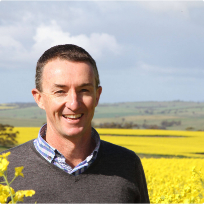 Delay spraying stressed weeds after rain - WeedSmart