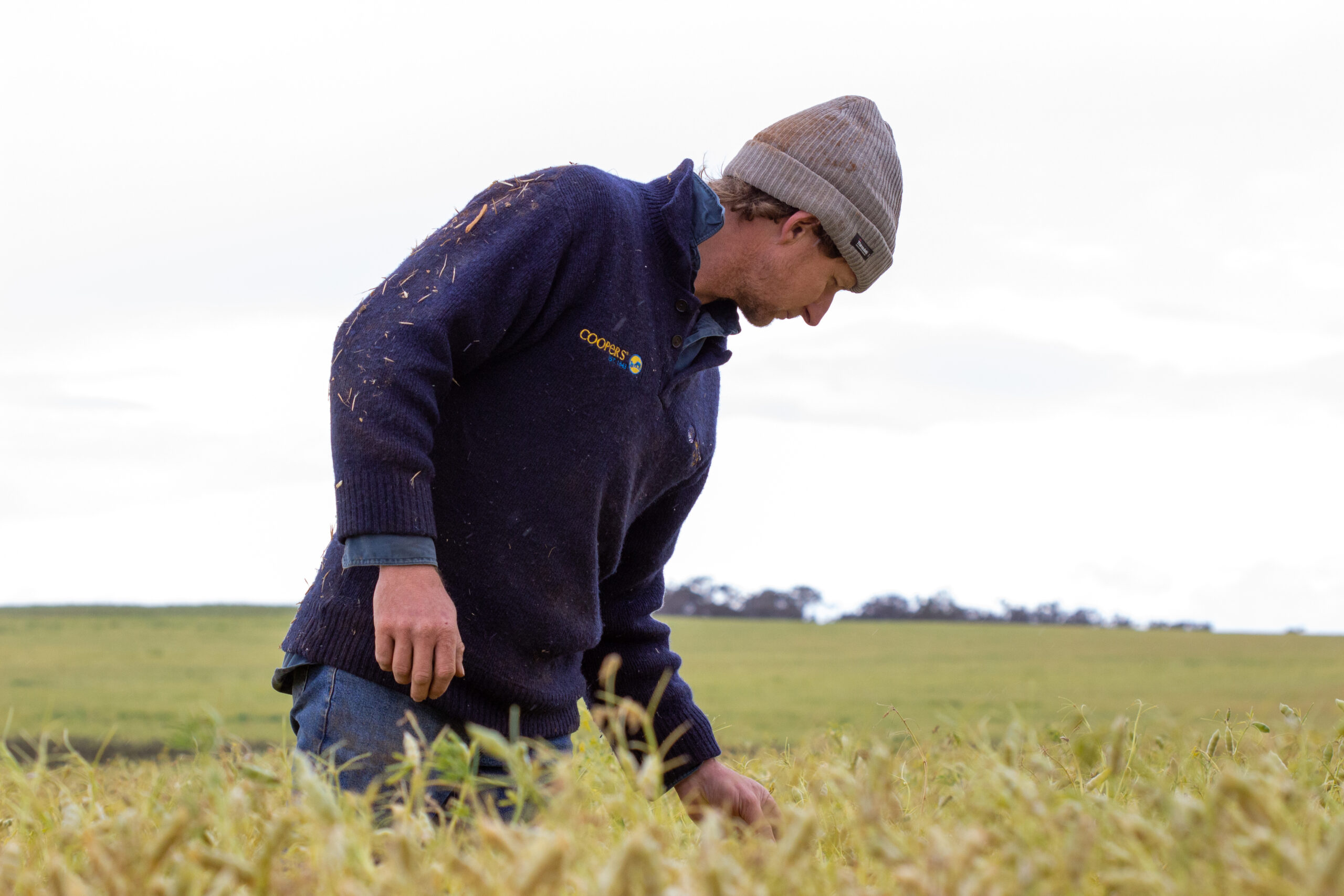 Regional Update - Ben Webb, Kojonup, WA - WeedSmart