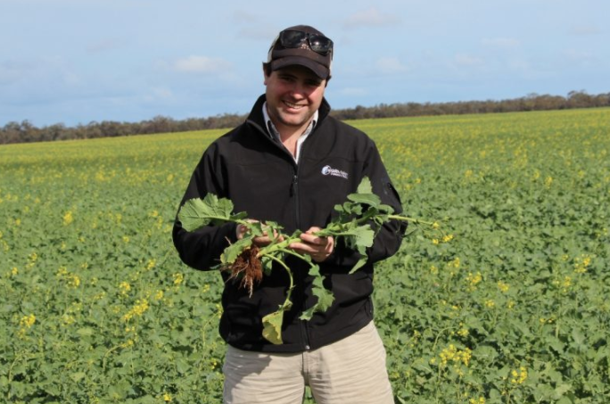 Regional Update - Matt Bissett, Swan Hill, Vic - WeedSmart