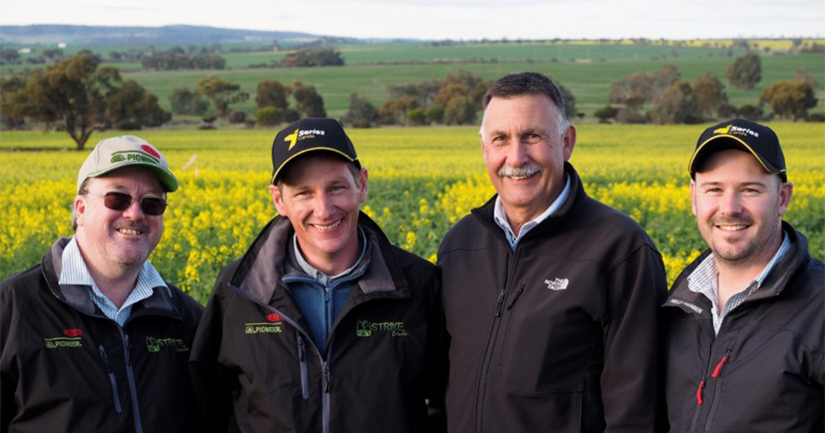 How can I maximise the weed control value of my crop rotation? - WeedSmart