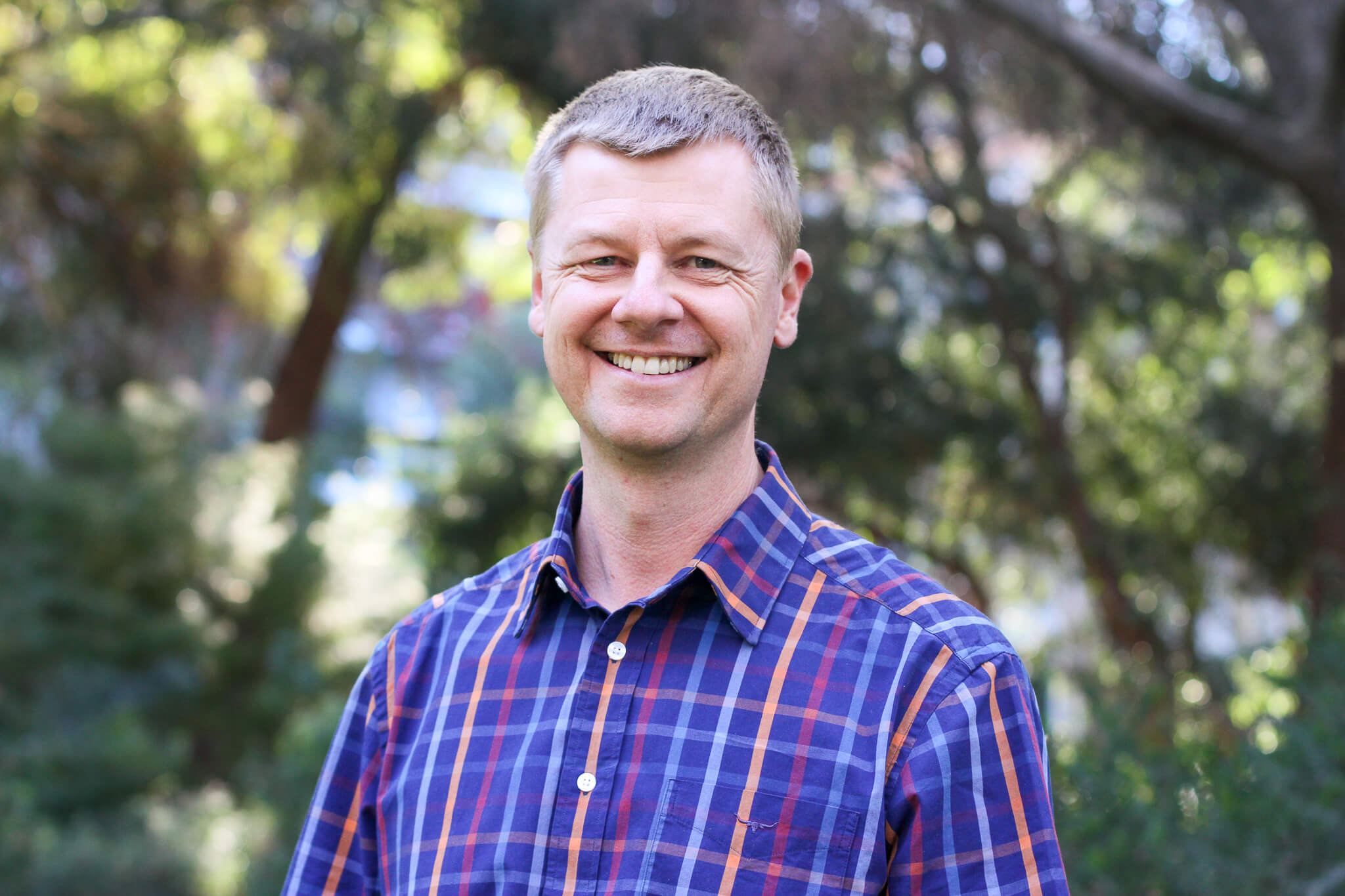 Faba beans pack a punch against sowthistle - WeedSmart