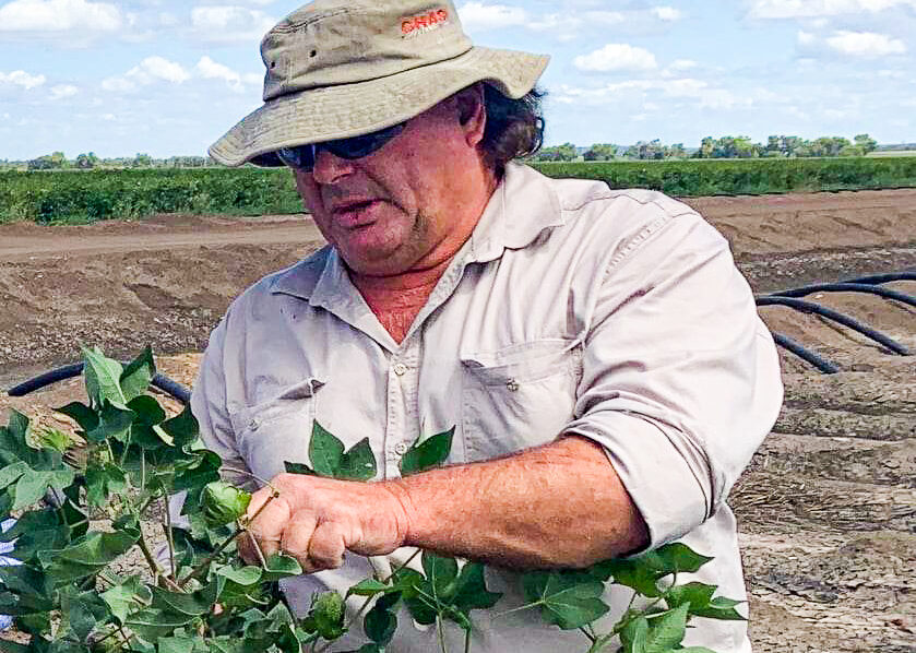 Regional Update - Peter Galea, Grower, Emerald, Qld - WeedSmart