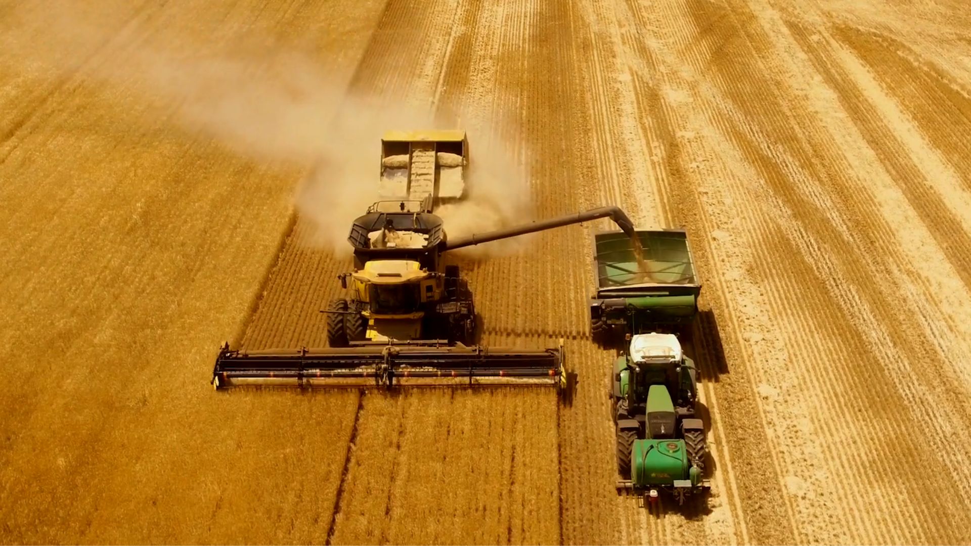 Weed Seed Impact Mills — the bottom line - WeedSmart