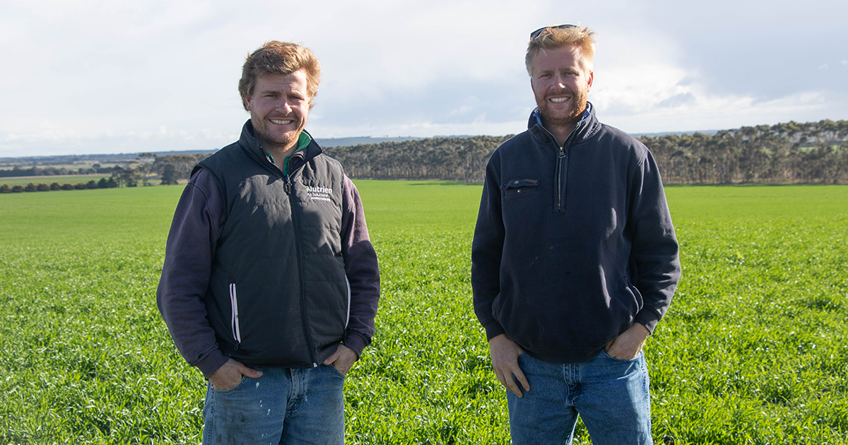 Drainage works for weed control - WeedSmart