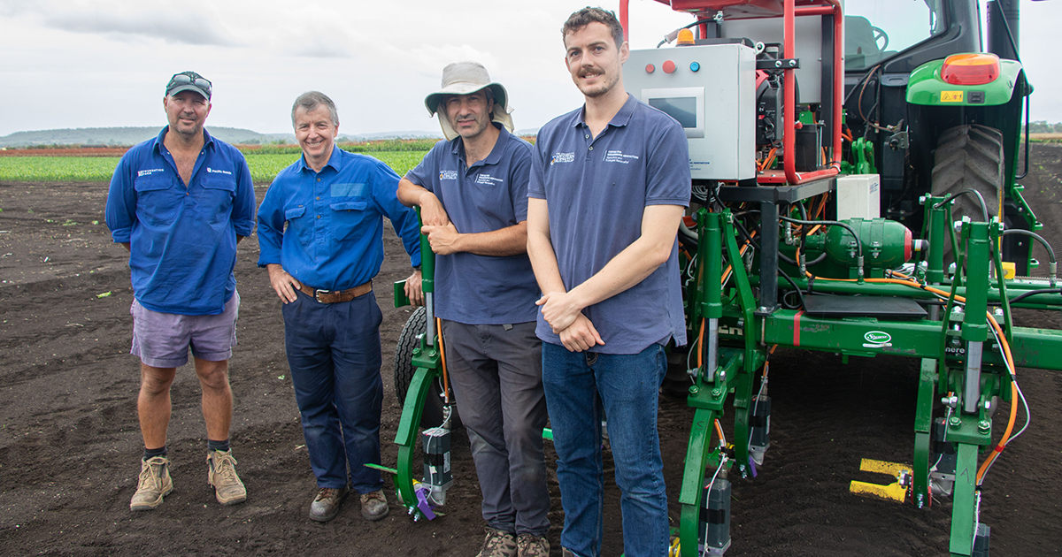 Targetted tillage for inter-row weed control - WeedSmart
