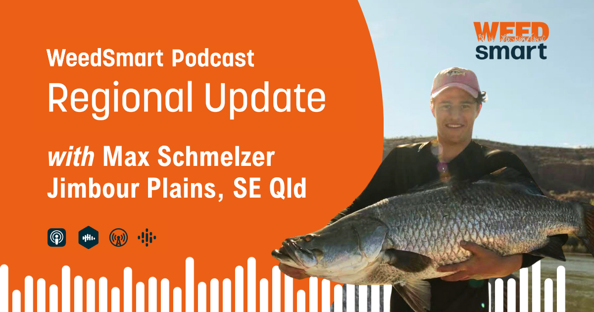 Regional Update - Max Schmelzer - Jimbour Plains, SE Qld - WeedSmart